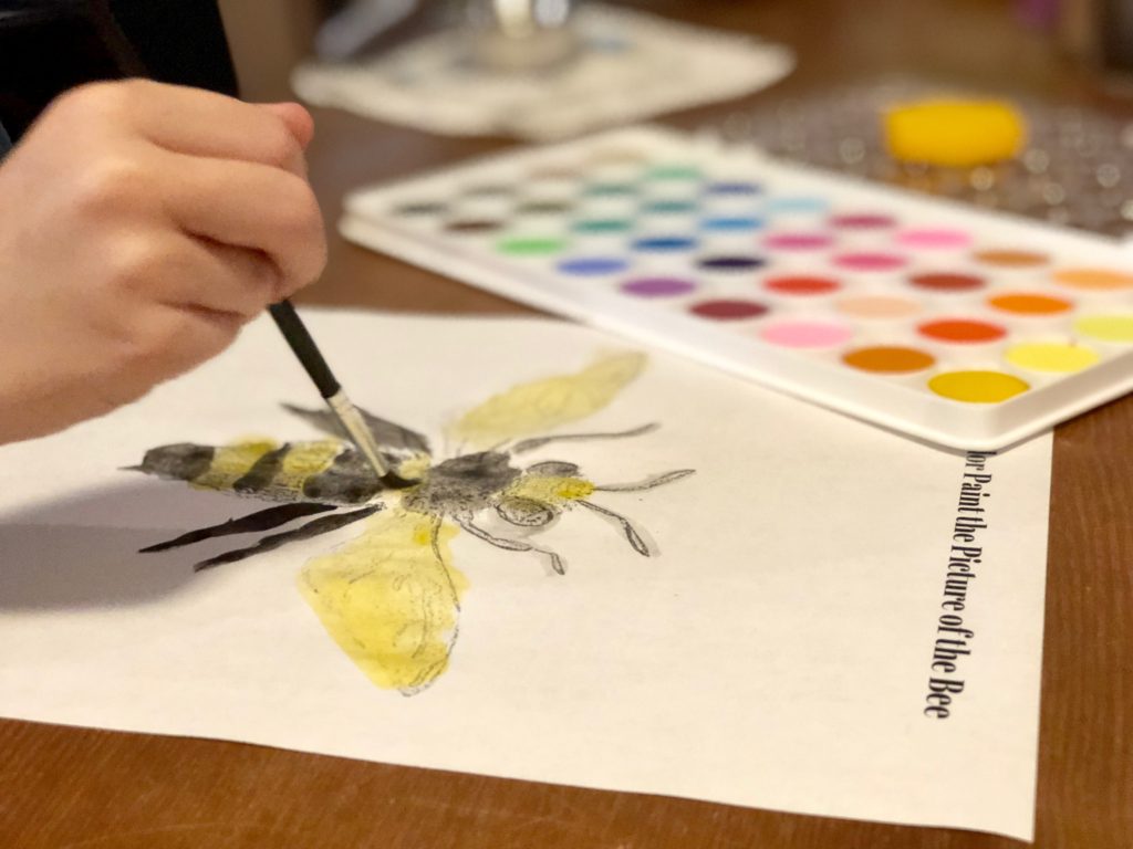 Science experiments and lessons for hands-on homeschoolers.