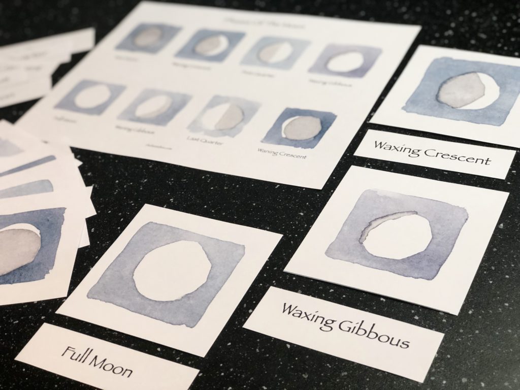 Moon Phases Poster + Flashcards - Chickie & Roo Homeschool