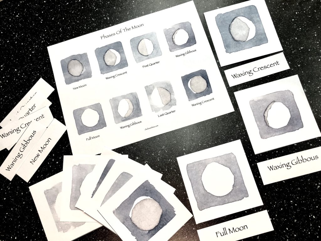 Moon Phases Poster + Flashcards - Chickie & Roo Homeschool