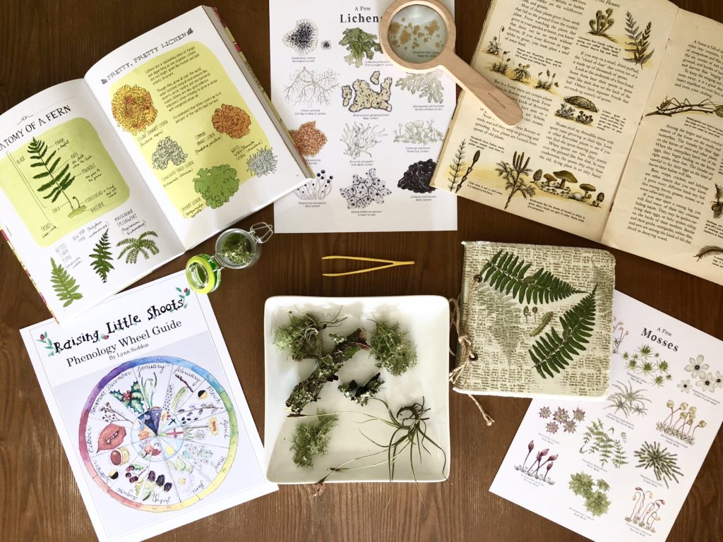 100 Resources for Homeschool Nature Study Chickie & Roo Homeschool