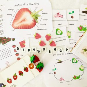 Home - Chickie & Roo Homeschool