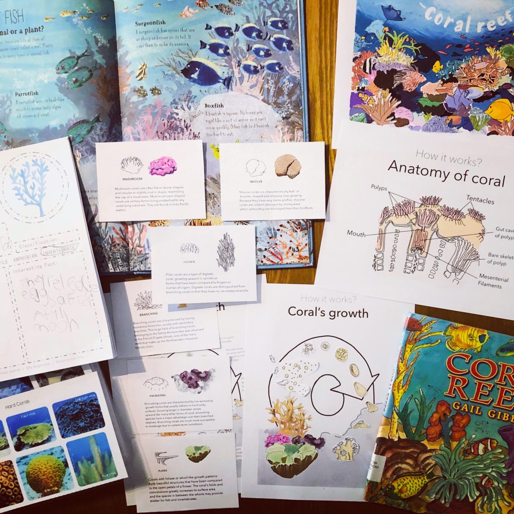 Ocean Unit Study - Chickie & Roo Homeschool