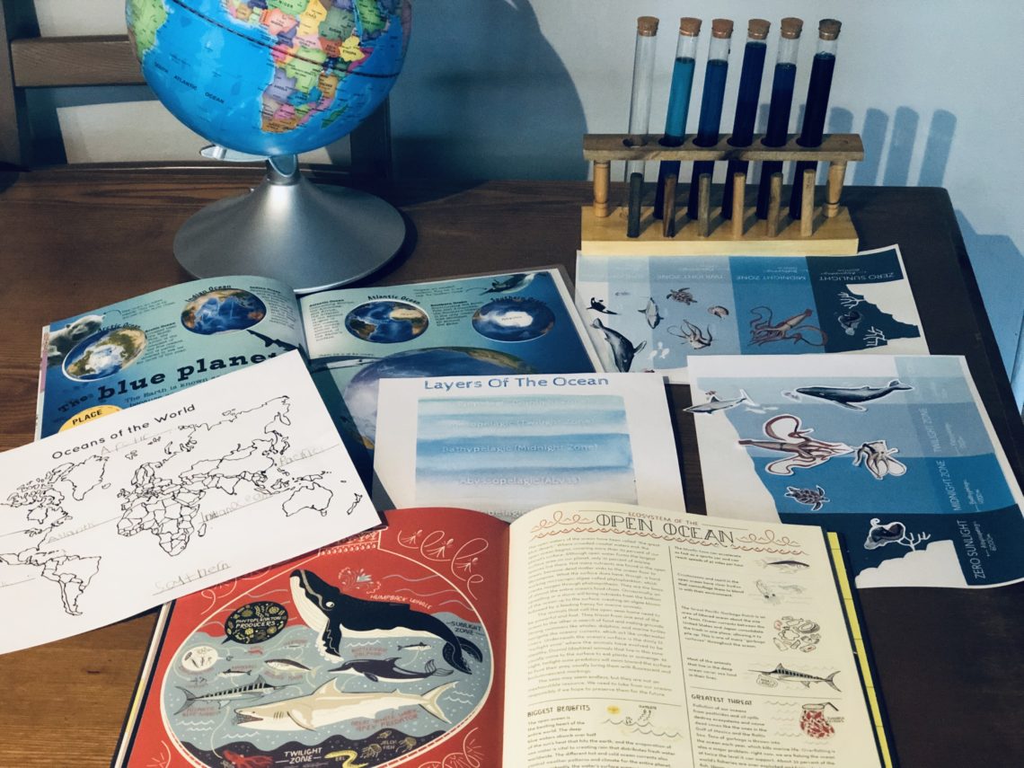 Ocean Unit Study - Chickie & Roo Homeschool