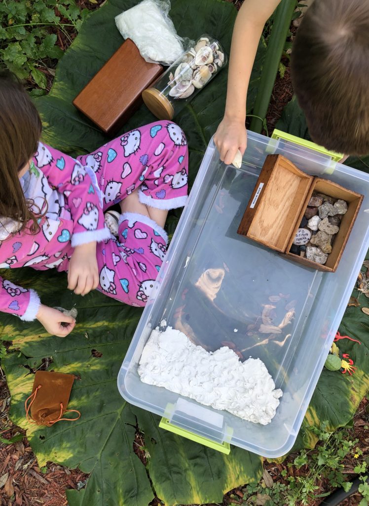 Ocean Unit Study - Chickie & Roo Homeschool