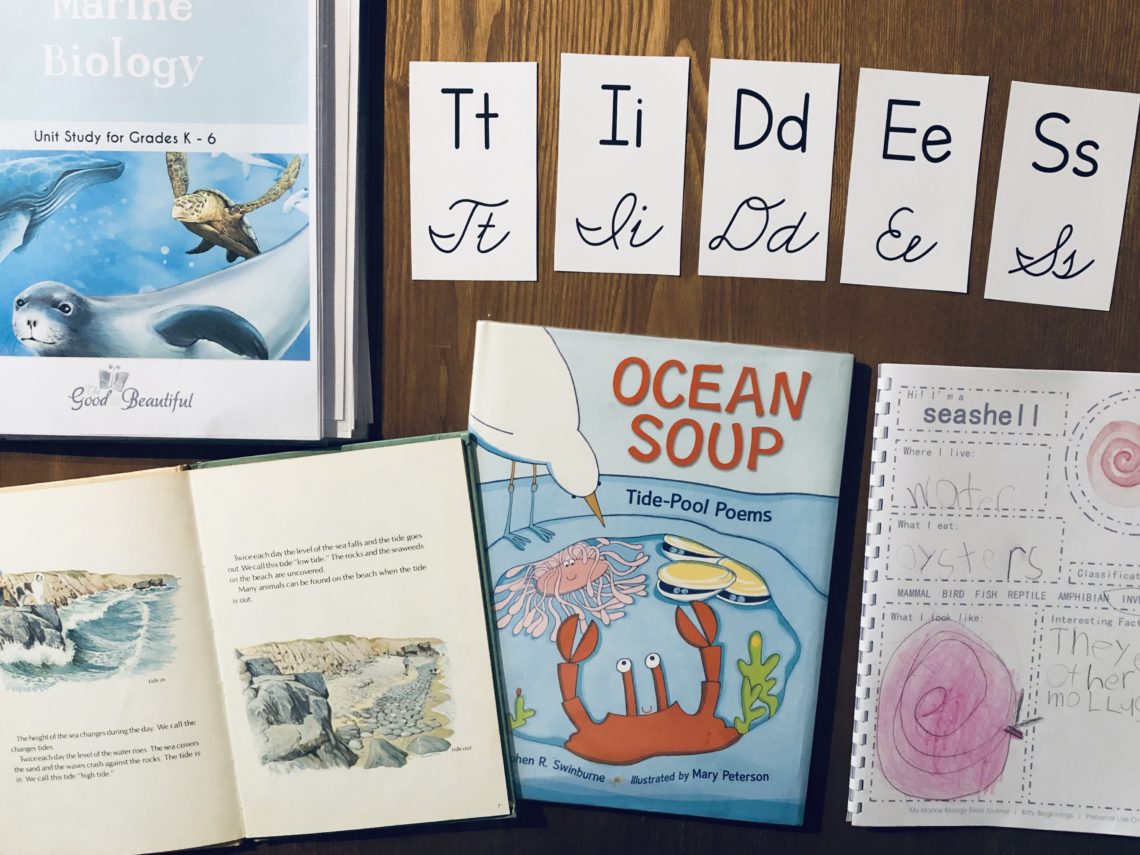 Ocean Unit Study - Chickie & Roo Homeschool