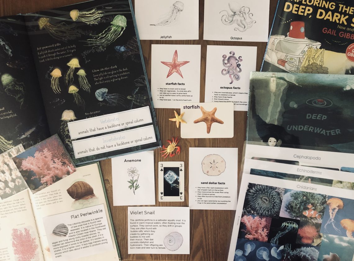 Ocean Unit Study - Chickie & Roo Homeschool