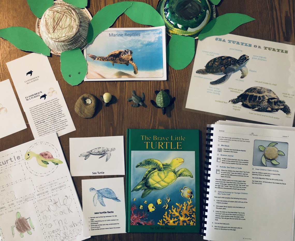 Ocean Unit Study - Chickie & Roo Homeschool