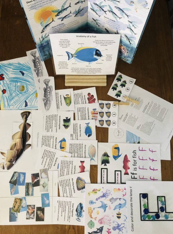 Ocean Unit Study - Chickie & Roo Homeschool
