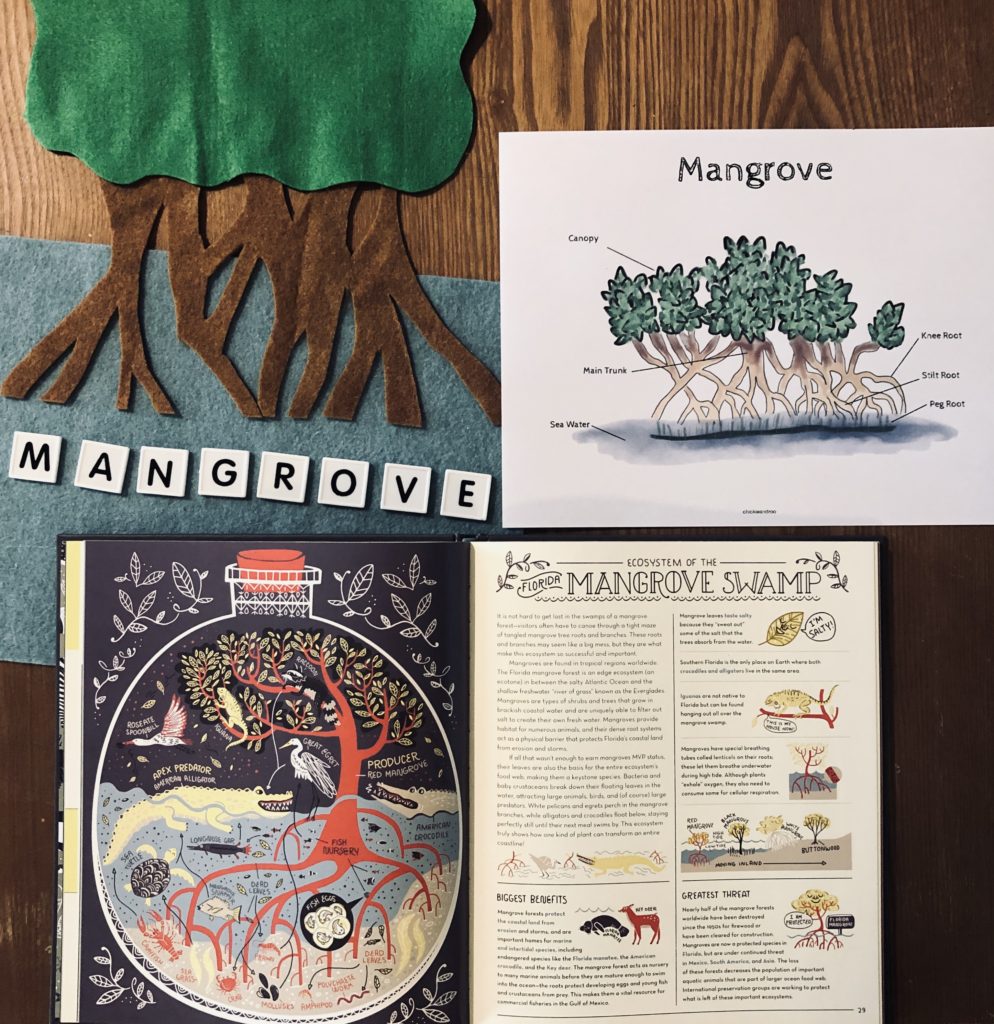 Mangrove Unit Study - Chickie & Roo Homeschool