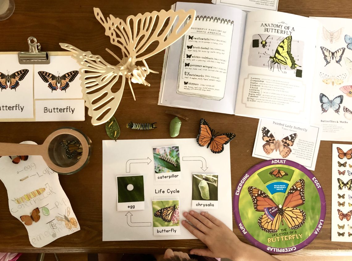 Gardenschooling - Chickie & Roo Homeschool