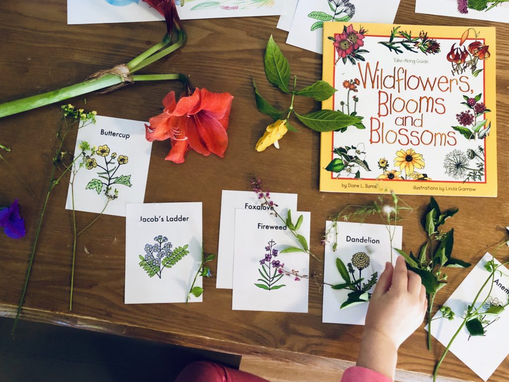 Gardenschooling - Chickie & Roo Homeschool