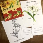 Prep Pack: Flowers - Chickie & Roo Homeschool