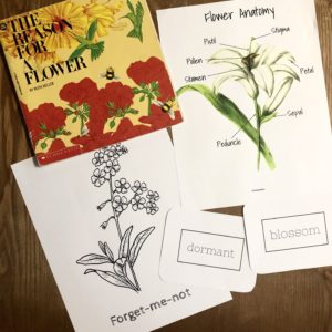 Home - Chickie & Roo Homeschool