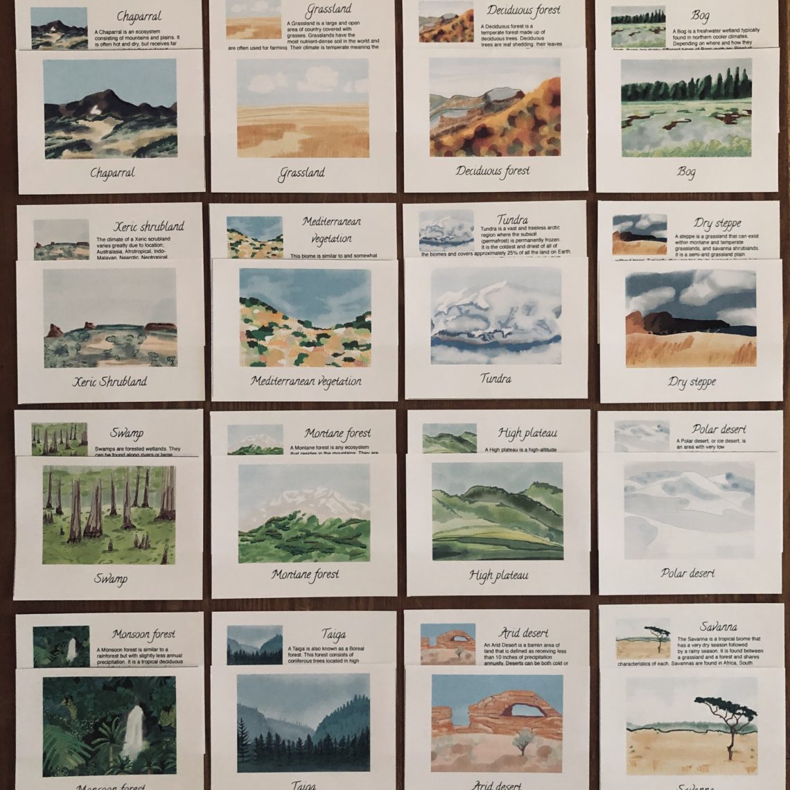 Biomes Collection - Chickie & Roo Homeschool