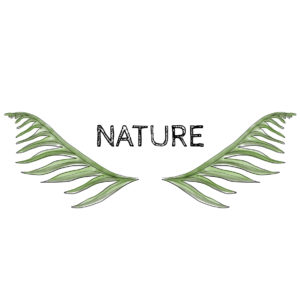 Home - Chickie & Roo Homeschool