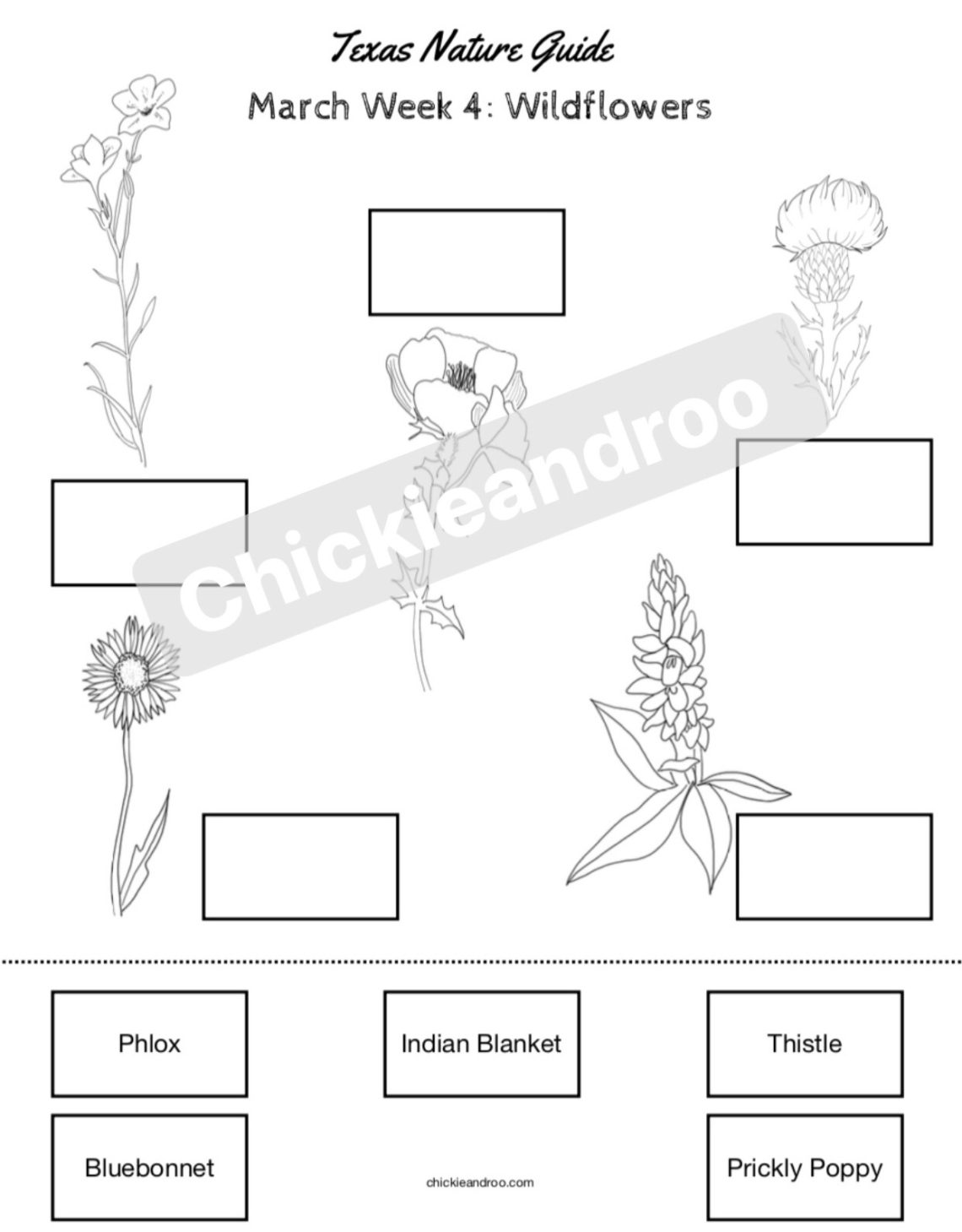 Texas Nature Guide - Chickie & Roo Homeschool