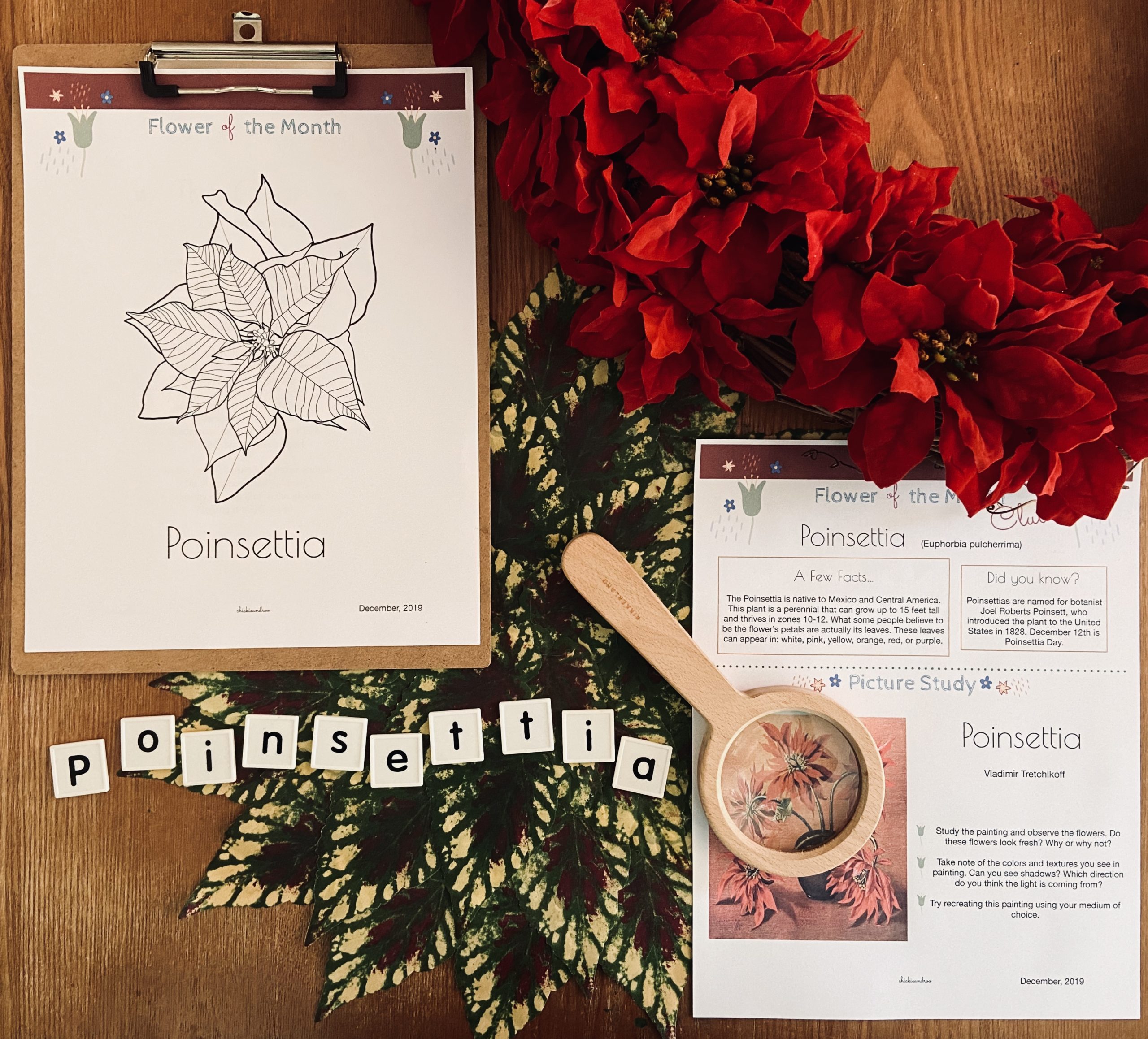Flower Of The Month Club - Chickie & Roo Homeschool