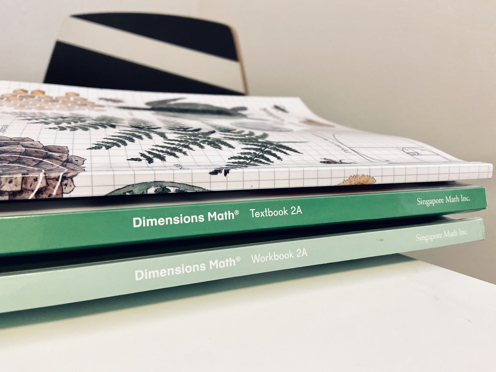 Math Review-Singapore & Simply Charlotte Mason - Chickie & Roo Homeschool