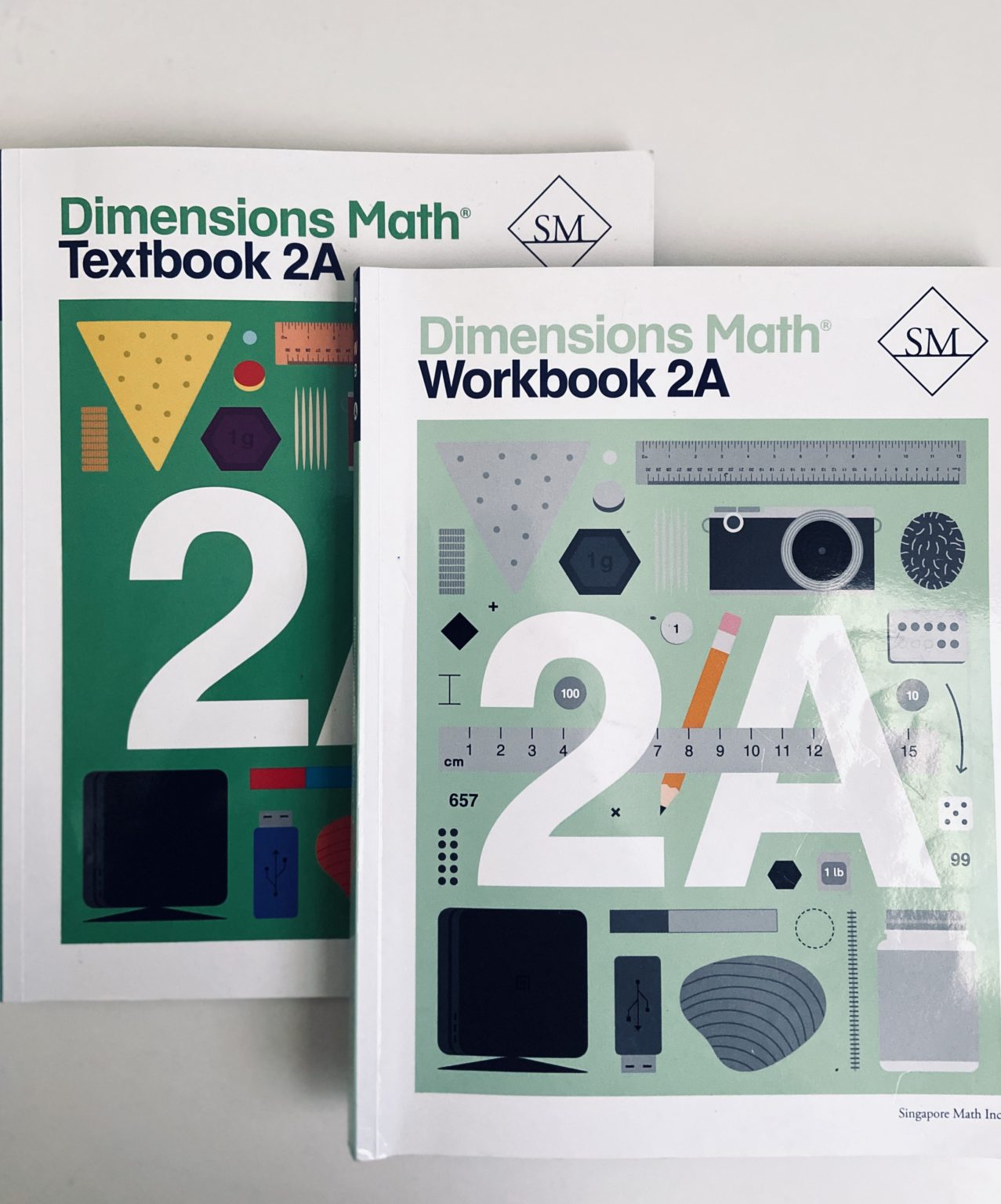 Math Review-Singapore & Simply Charlotte Mason - Chickie & Roo Homeschool