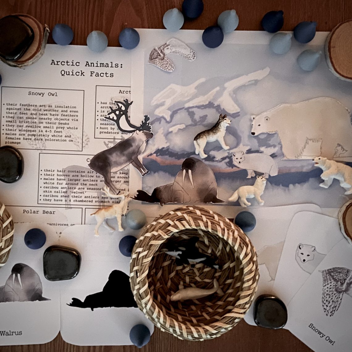 Prep Pack: Arctic Tundra - Chickie & Roo Homeschool