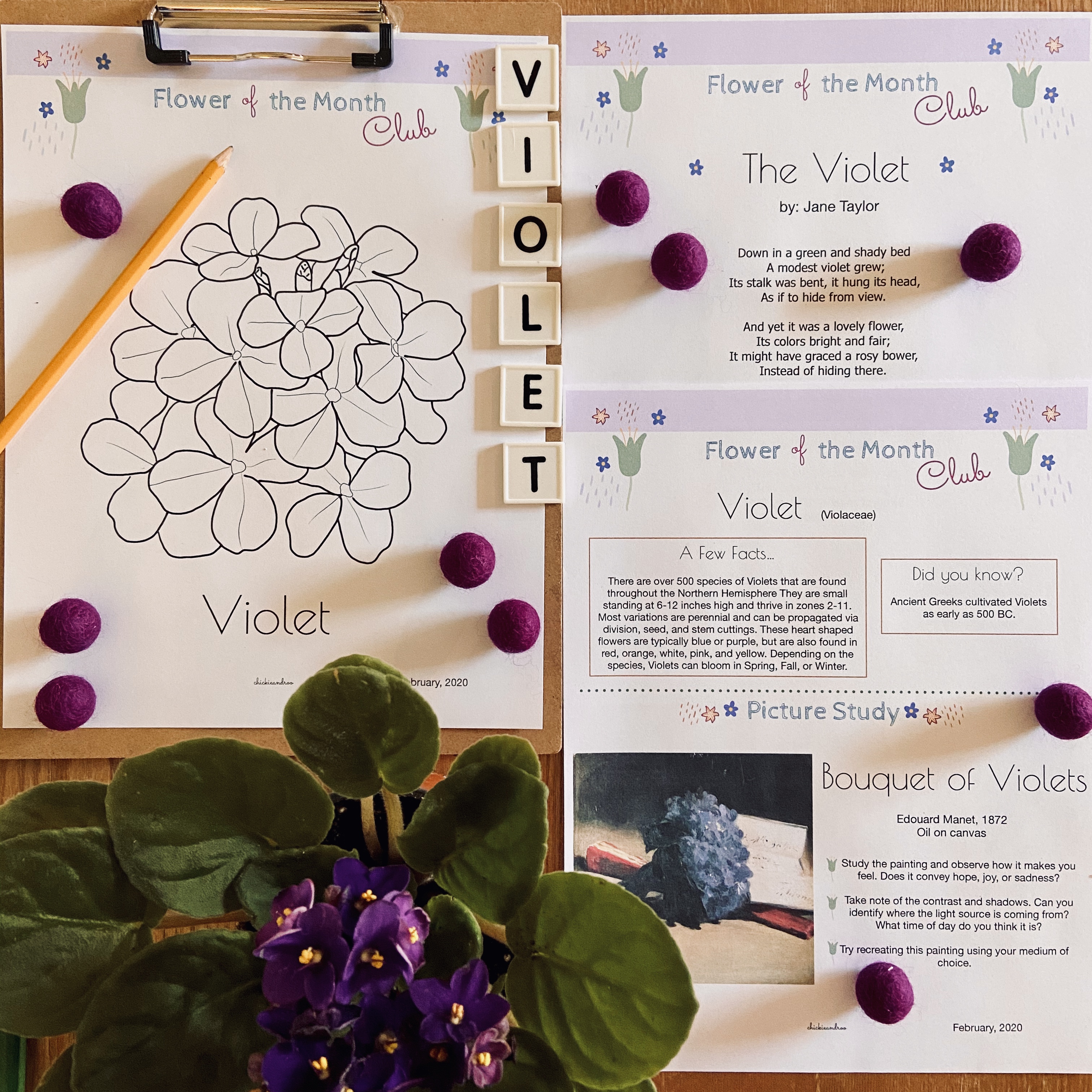 Flower Of The Month Club - Chickie & Roo Homeschool