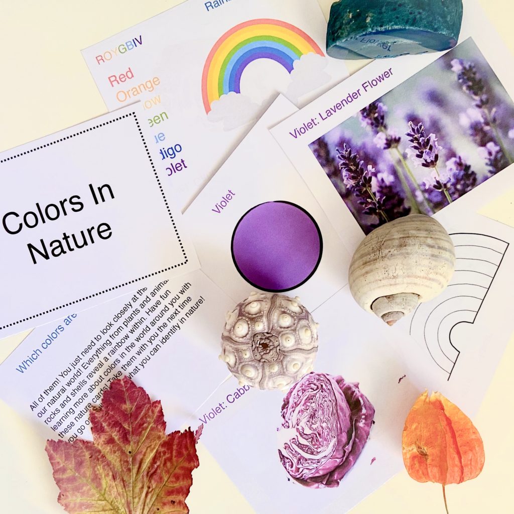 Colors In Nature - Chickie & Roo Homeschool