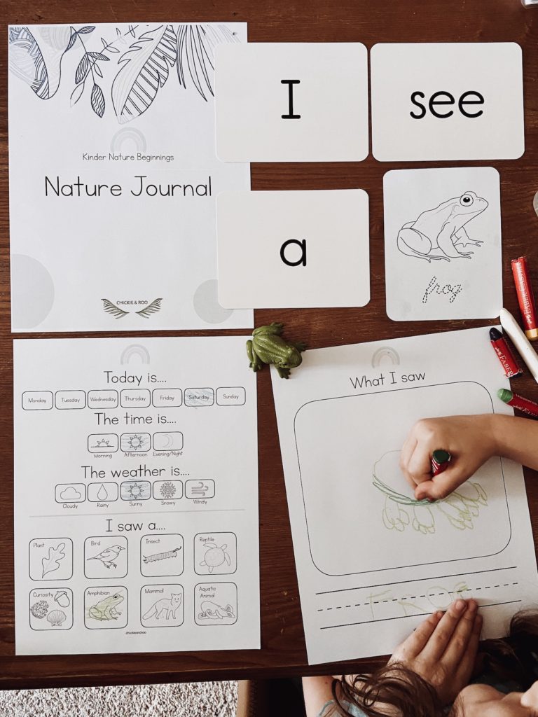 Kinder Nature Beginnings-Nature Journal - Chickie & Roo Homeschool