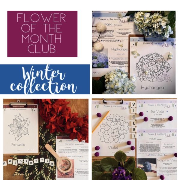 Homeschool Materials For Your Learner Shop - Page 3 of 7 - Chickie ...