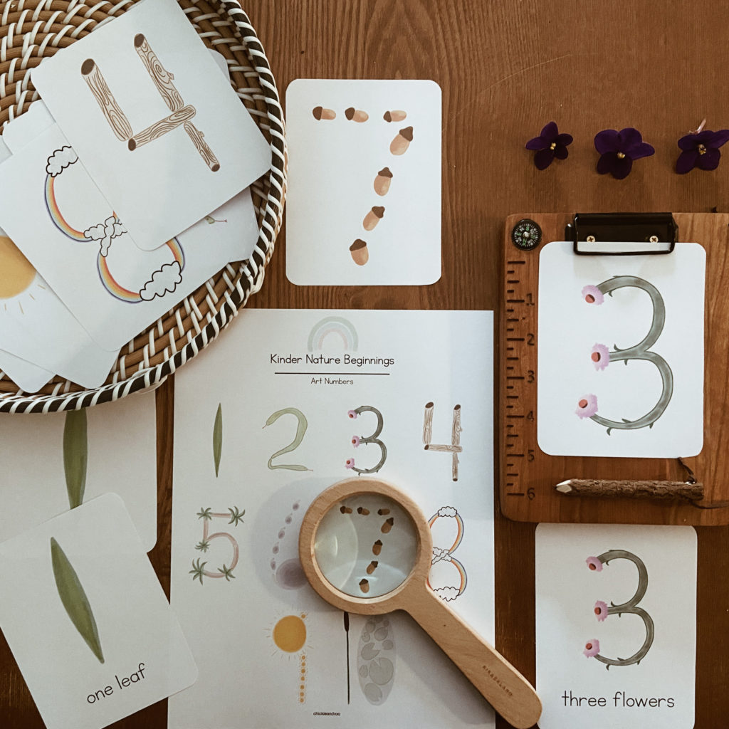 Kinder Nature Beginnings - Chickie & Roo Homeschool