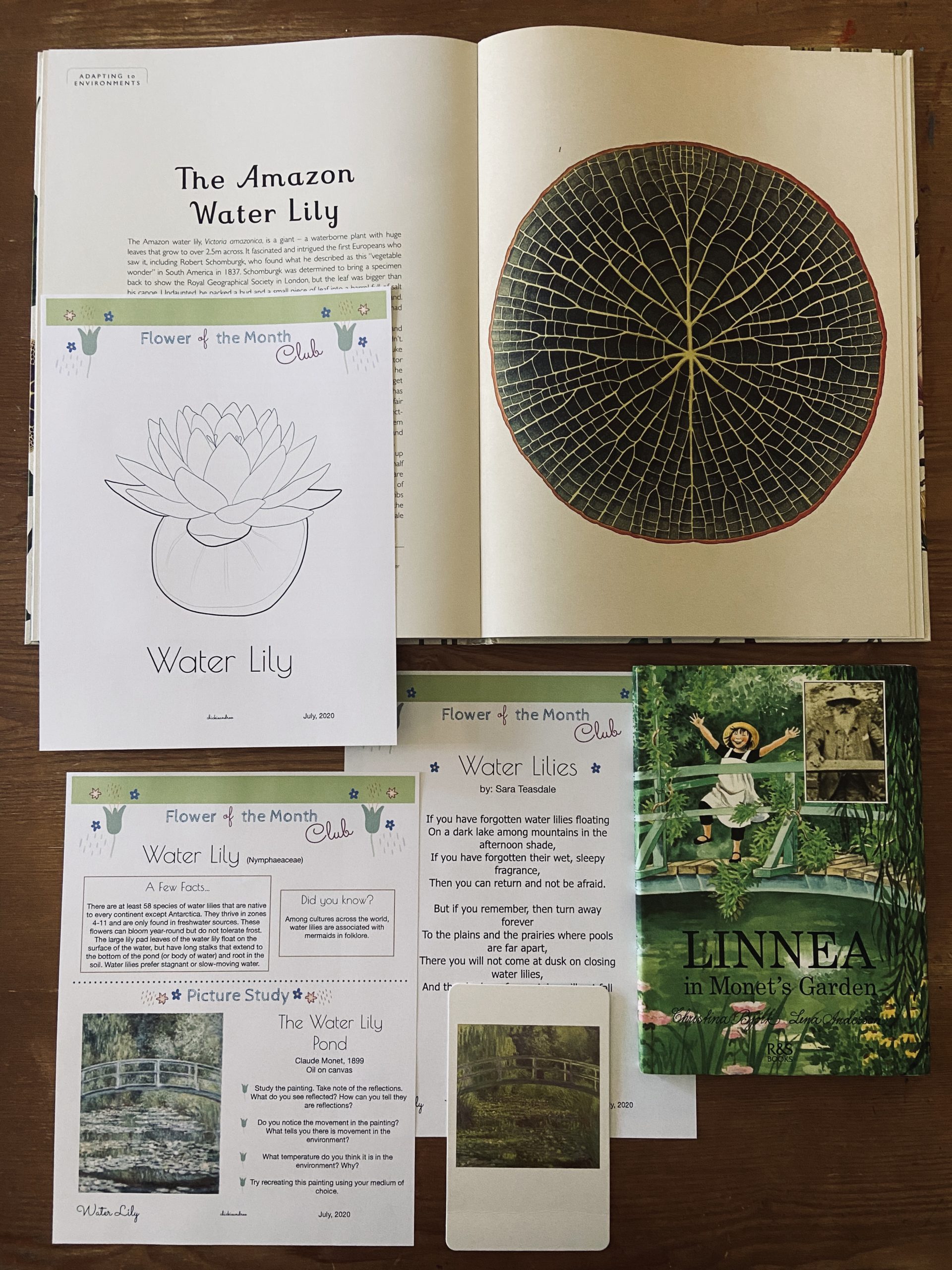 Home - Chickie & Roo Homeschool