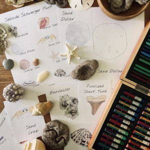 Home - Chickie & Roo Homeschool