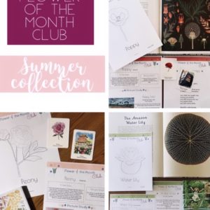 Mini Unit Archives - Page 2 of 3 - Chickie & Roo Homeschool