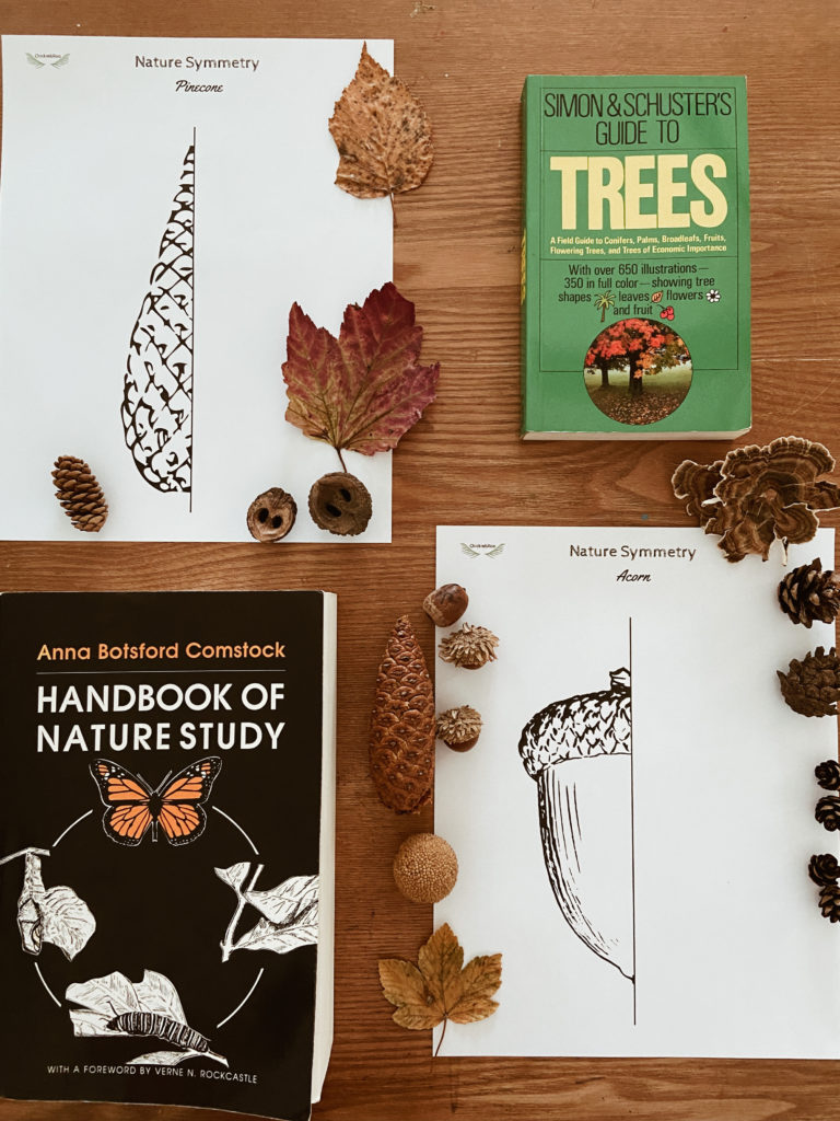 Nature Symmetry - Chickie & Roo Homeschool