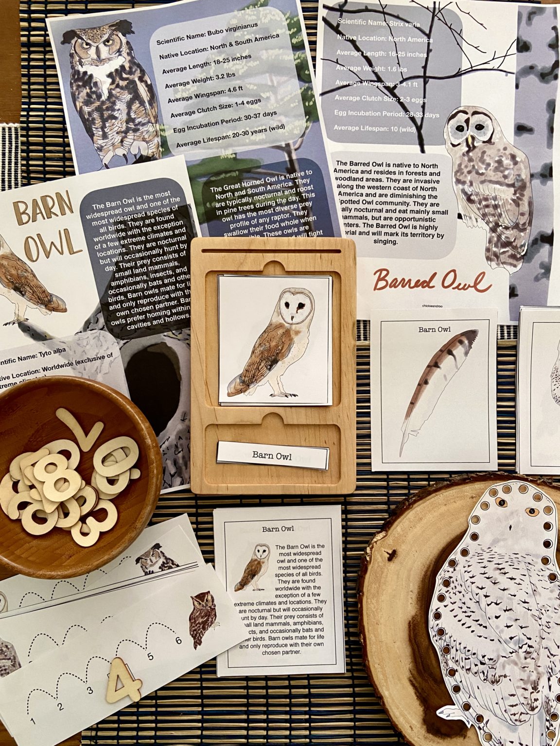Prep Pack: Owls - Chickie & Roo Homeschool