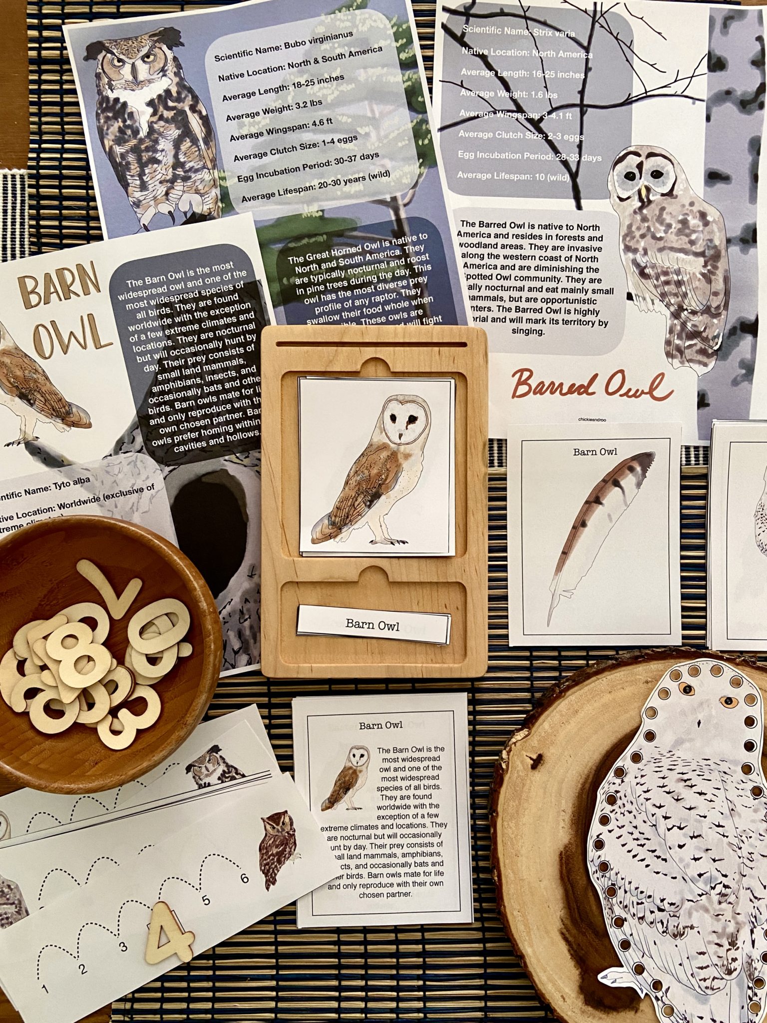 Prep Pack: Owls - Chickie & Roo Homeschool