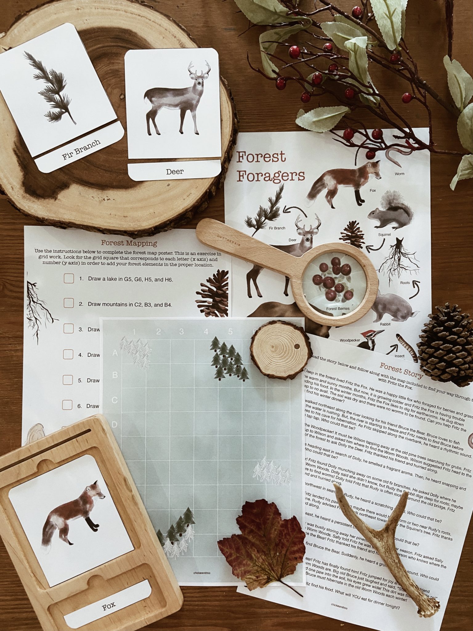 Prep Pack: Forest Foragers - Chickie & Roo Homeschool