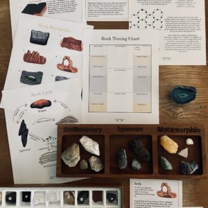 Homeschool Materials For Your Learner Shop - Chickie & Roo Homeschool