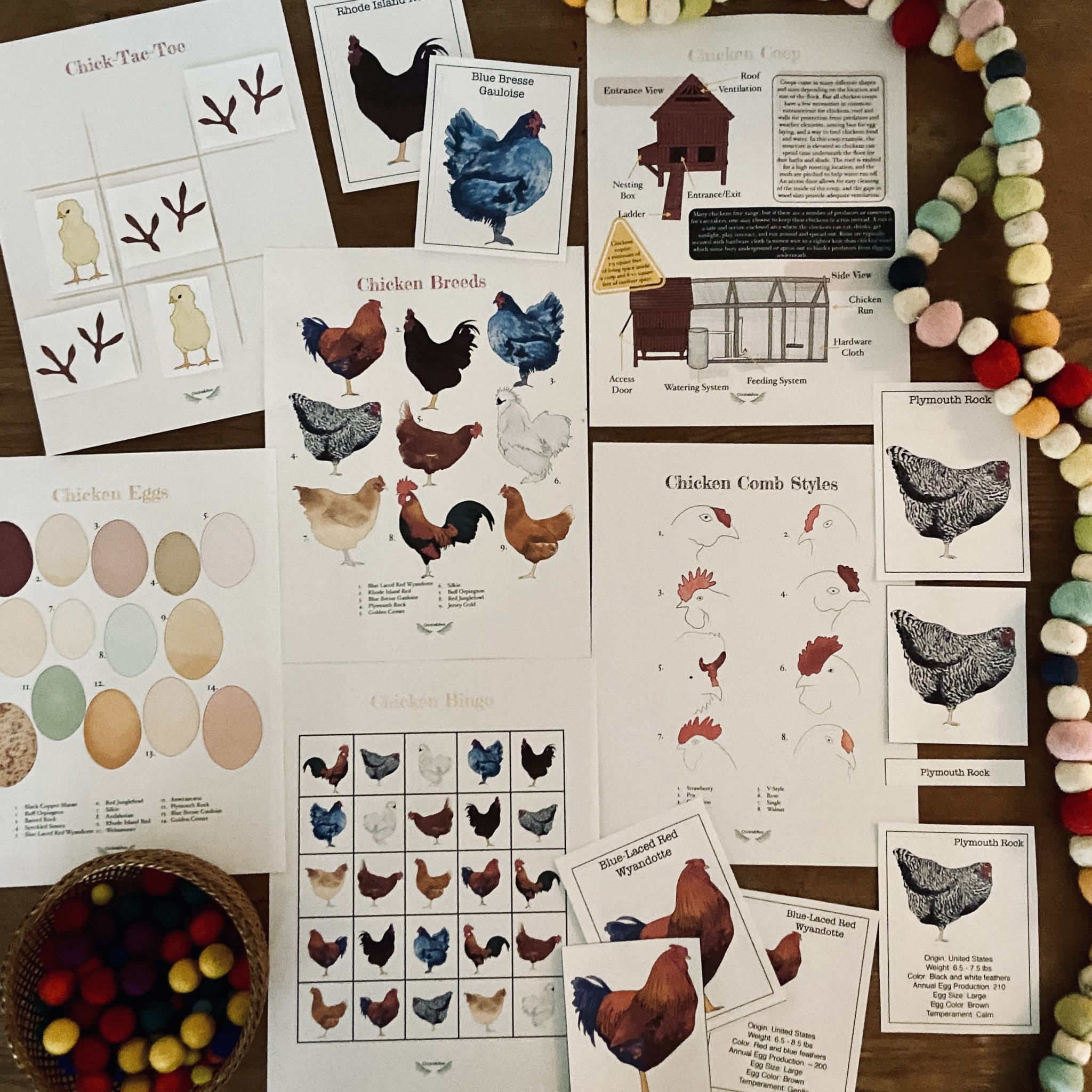 Prep Pack: Chickens - Chickie & Roo Homeschool