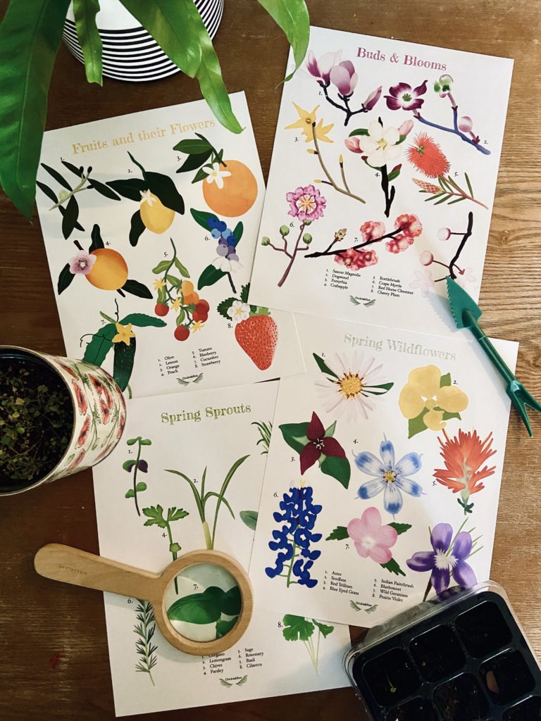 Signs of Spring Poster Collection - Chickie & Roo Homeschool