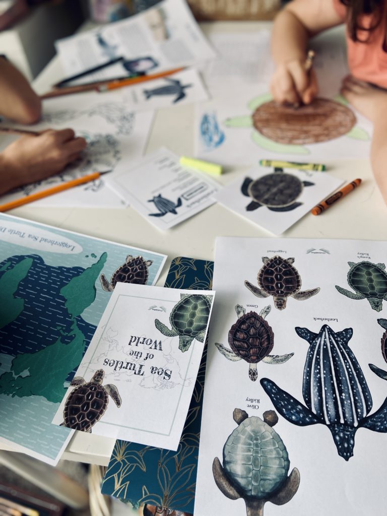 Prep Pack: Sea Turtles of the World - Chickie & Roo Homeschool