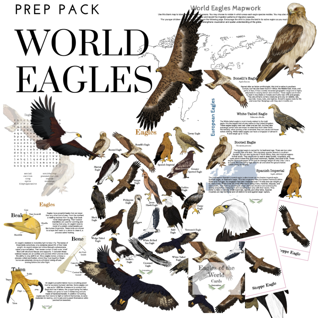 Prep Pack: World Eagles - Chickie & Roo Homeschool
