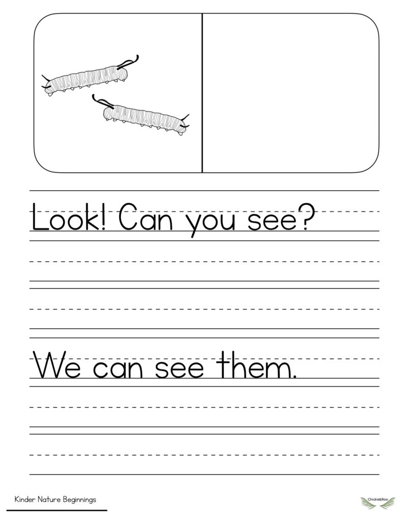 Kinder Nature Beginnings-Copywork Book Level A - Chickie & Roo Homeschool