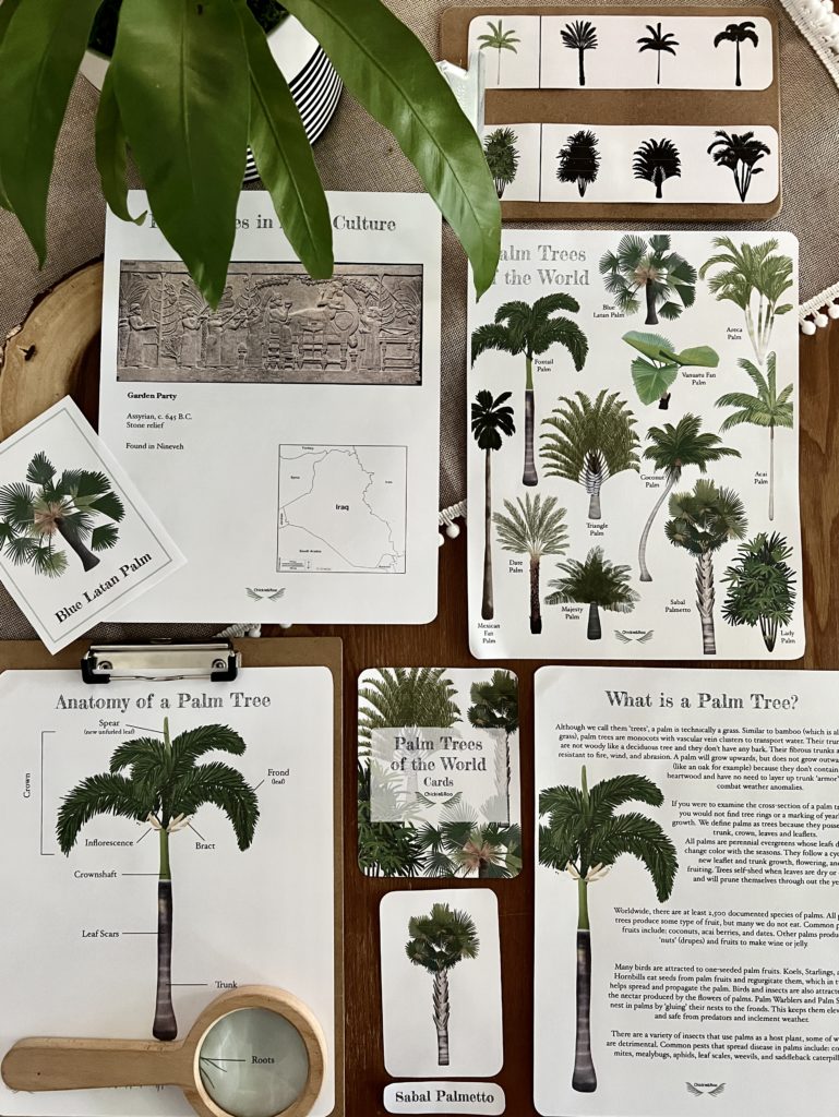 Home - Chickie & Roo Homeschool