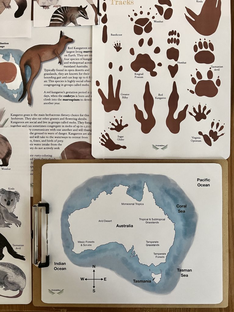 Prep Pack: Marsupials of the World - Chickie & Roo Homeschool