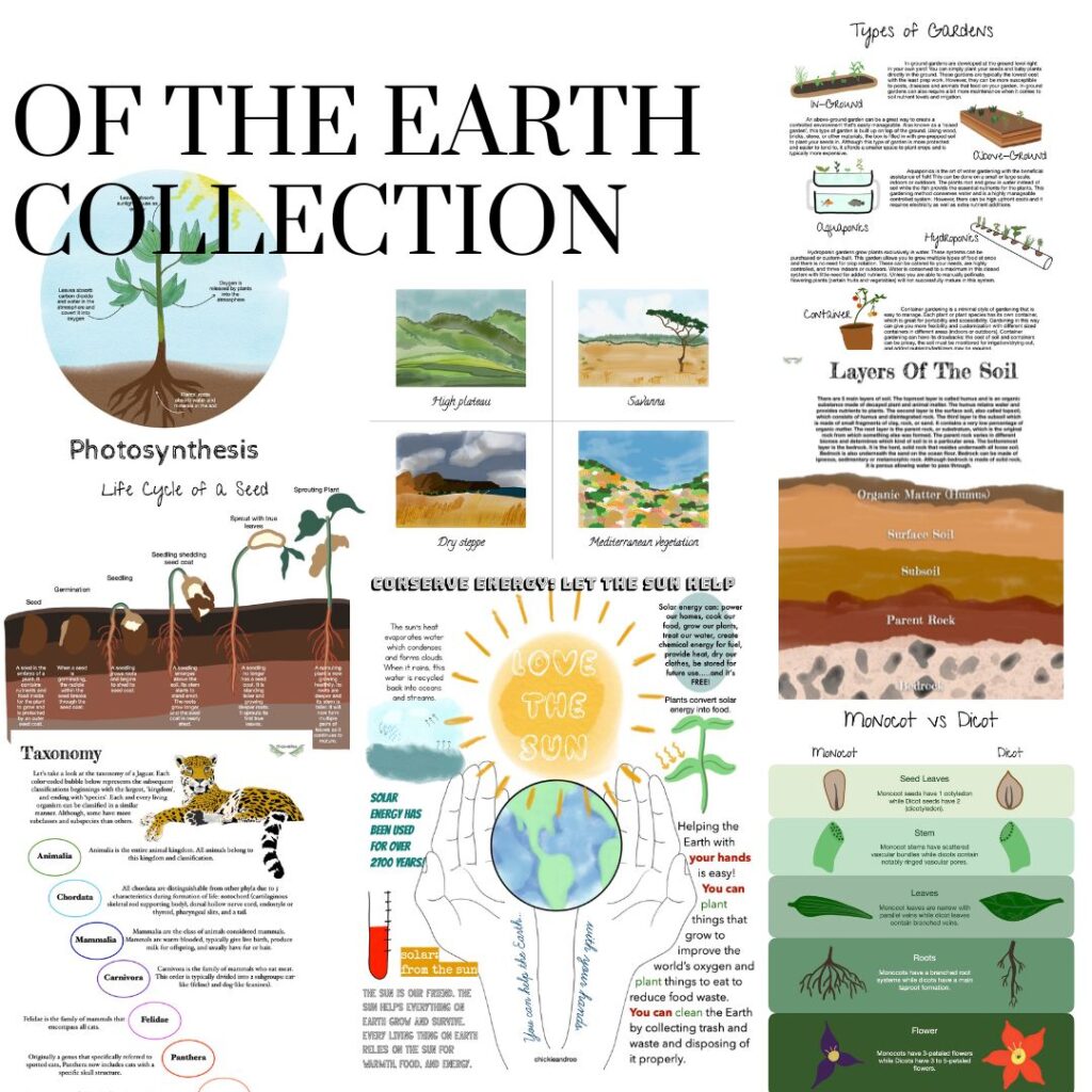 Of The Earth Collection - Chickie & Roo Homeschool